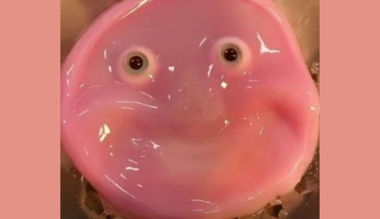 Japanese Scientists Make Smiling Robot with Human Skin
