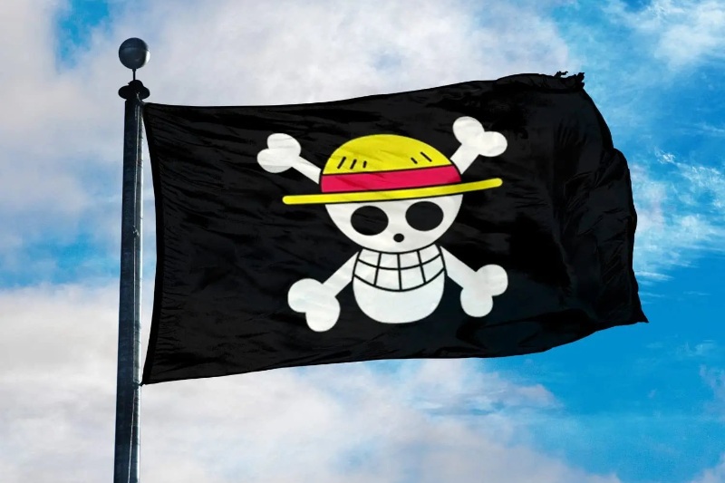 Indonesians Protest With One Piece Flag Amid Govt Crackdown