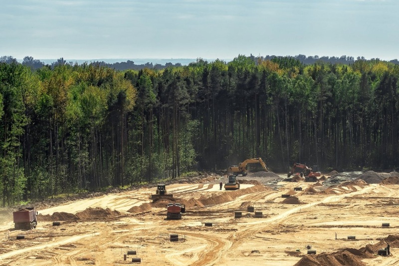 Malaysian Firms Control PNG Forest-Clearing Permits | Report
