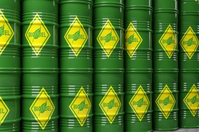 Malaysia B15 Biodiesel Rollout: Is Palm-Oil Fuel Safe Now?!!